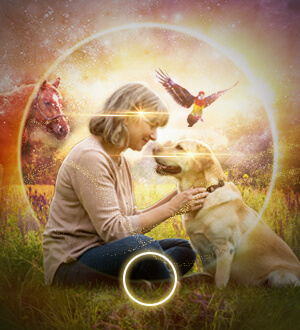 Trainings | The Shift Network